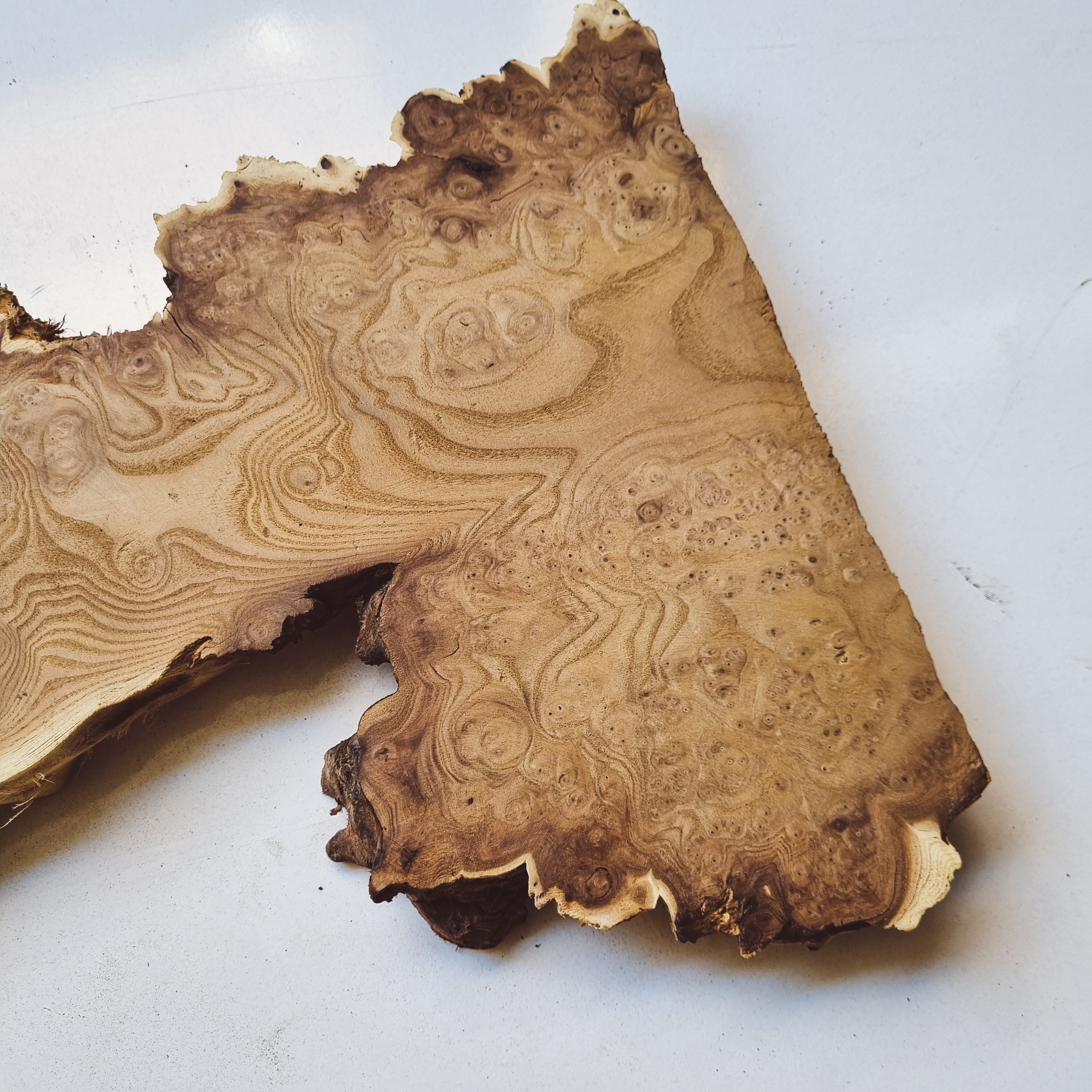Live Edge Raw Edged Wood Sheet Live Edge Sheet Unfinished for - Etsy
