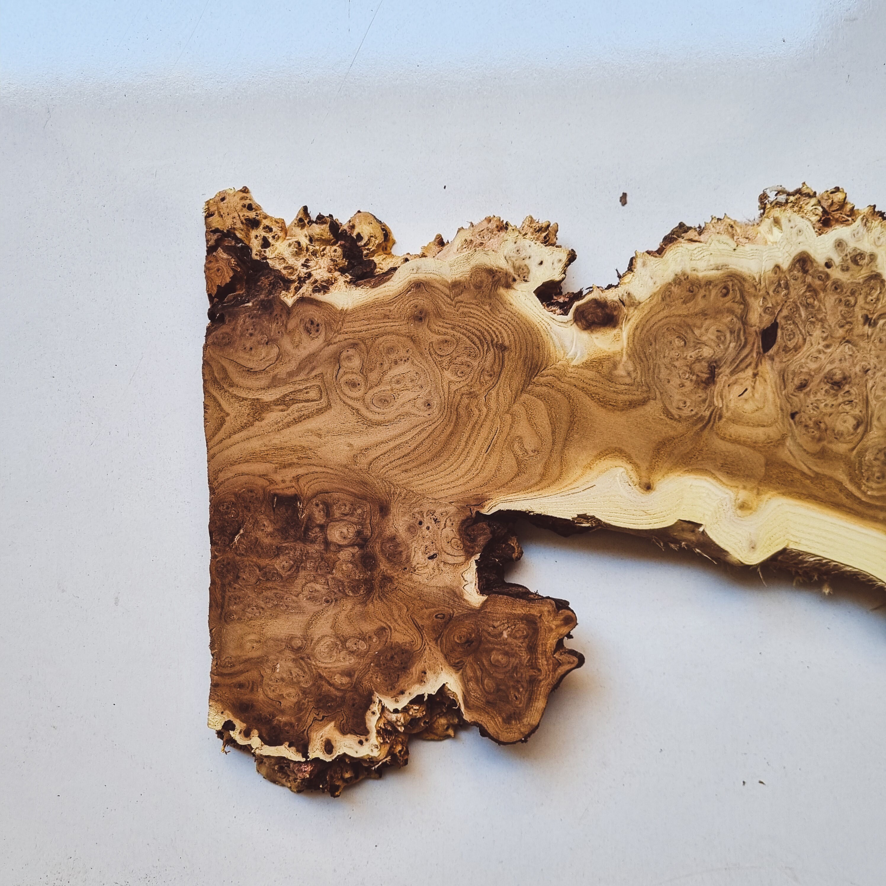 Live Edge Raw Edged Wood Sheet Live Edge Sheet Unfinished for - Etsy