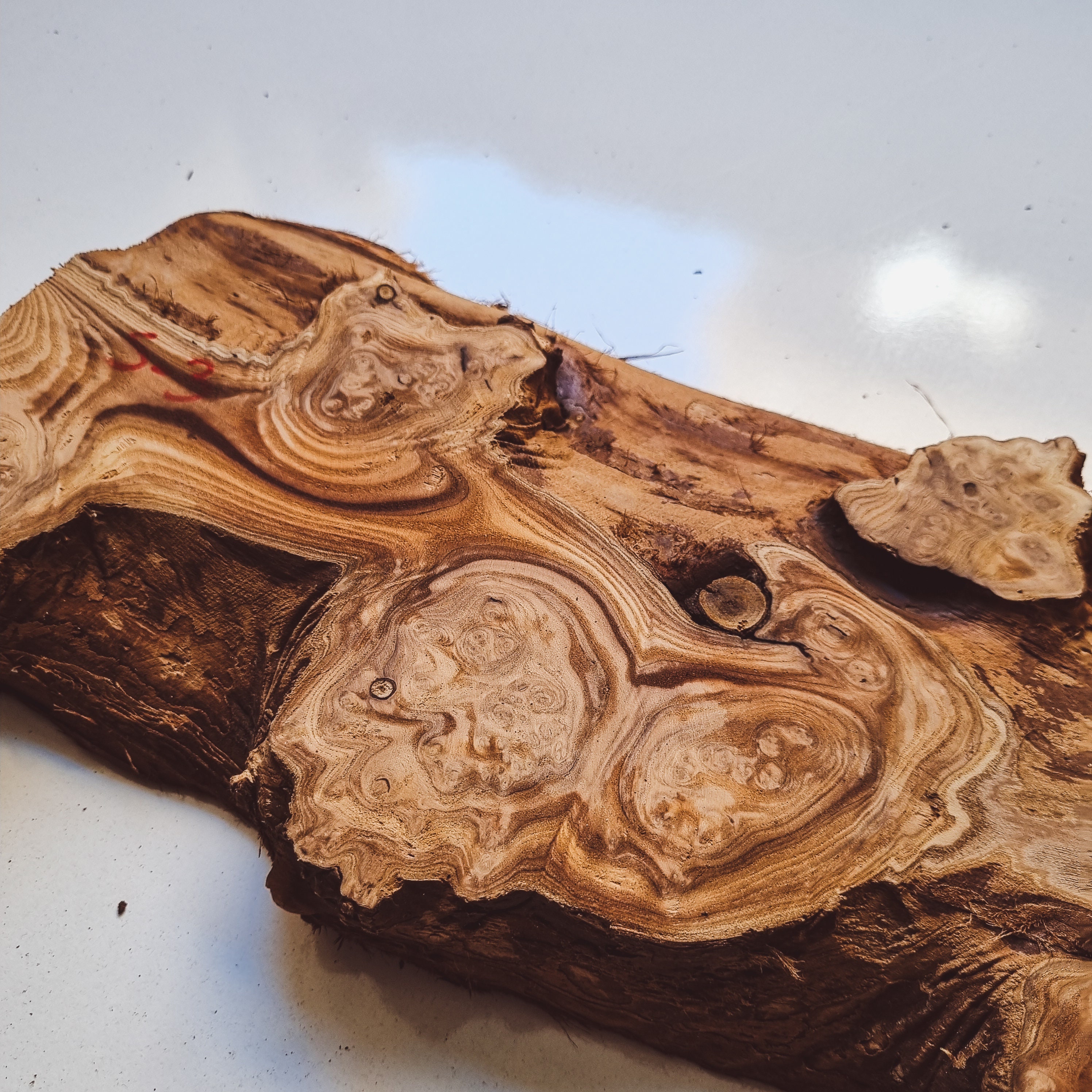 Live Edge Raw Edged Wood Sheet, Live Edge Sheet Unfinished for Craft ...