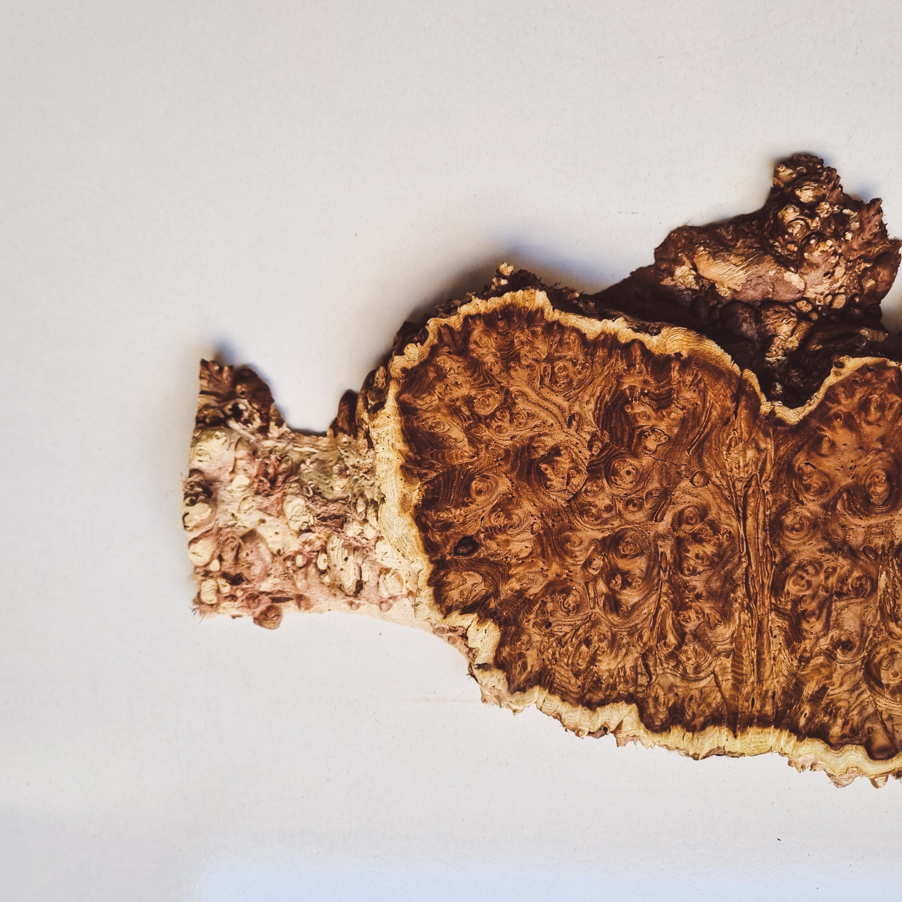 Live Edge Wood Slab, Burl Wood Slab - Etsy