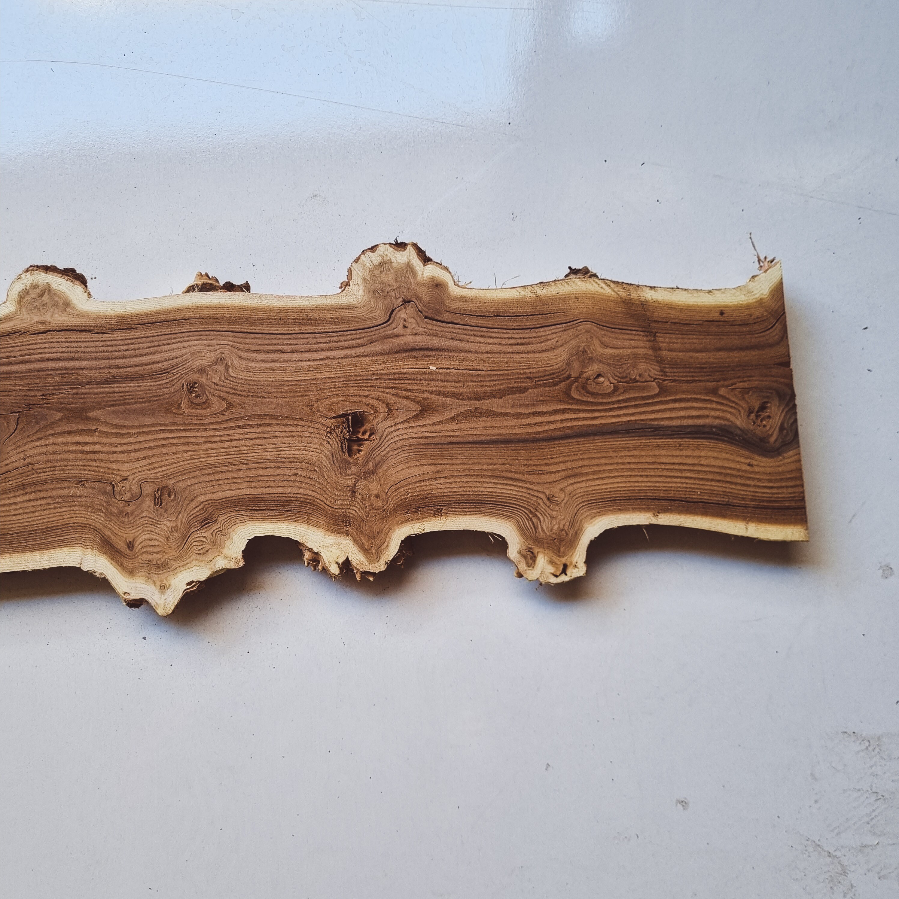 Silverberry Tree Wood Slab Raw Edge Wood Slab Wood Slab Live Edge Slab ...