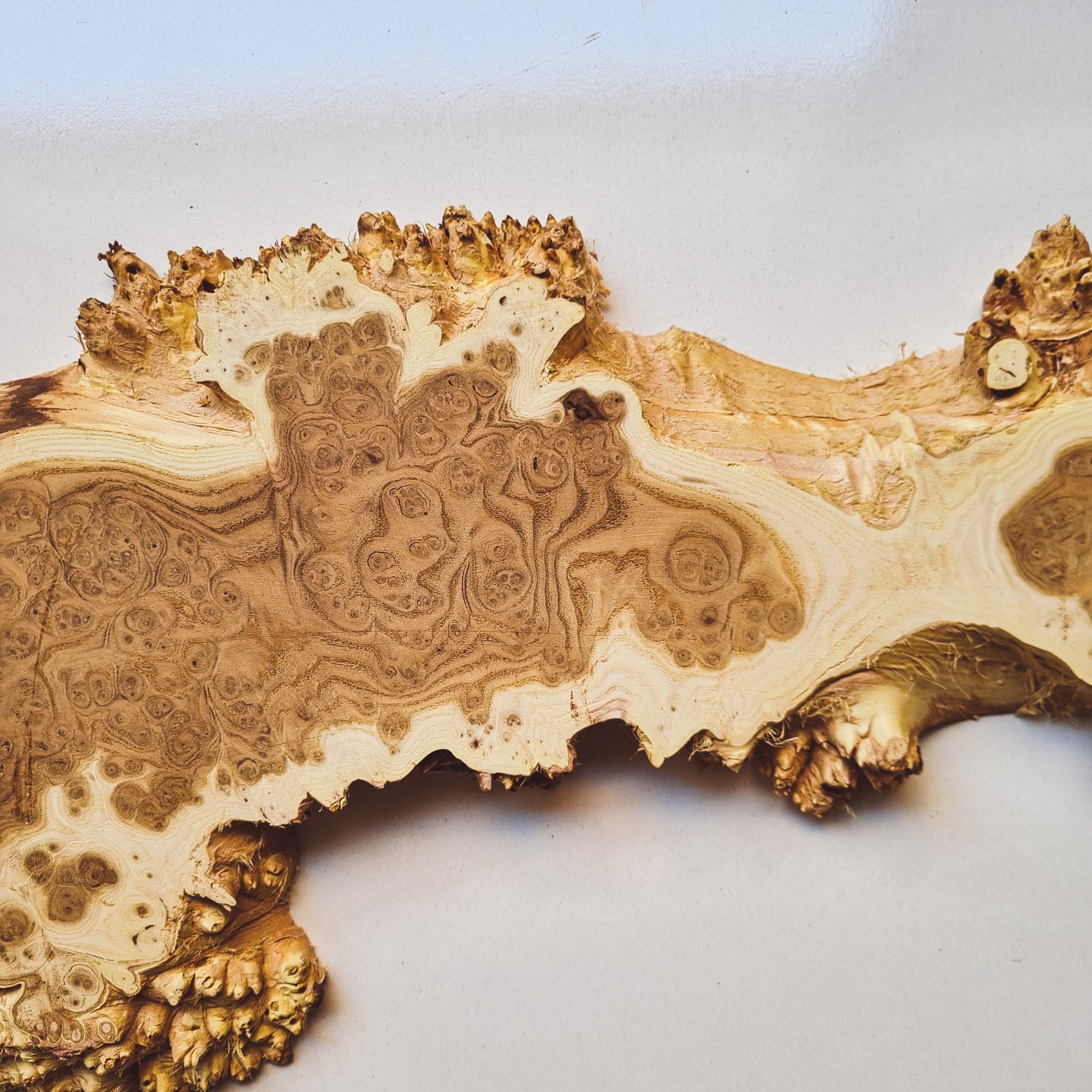 Live Edge Raw Edged Wood Sheet, Live Edge Sheet Unfinished for Craft ...