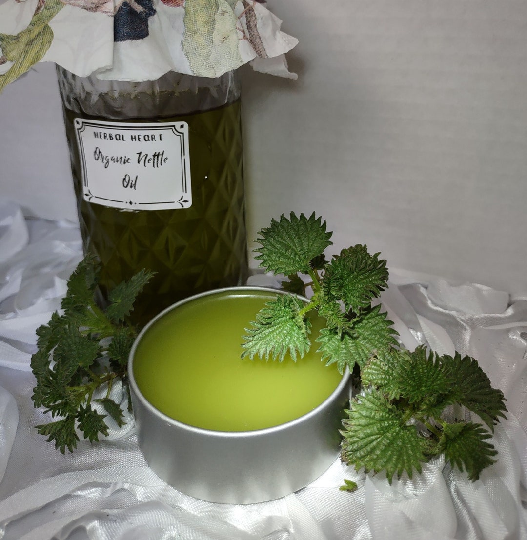 Organic Homemade Nettle Ointment | Anti-aging | Wrinkle Care | Dry Skin ...