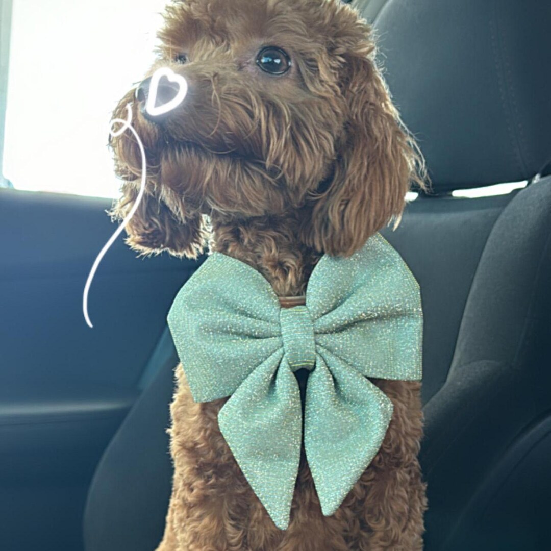 Sparkly Dog Bow: Pet Collar Sailor Bow - Etsy