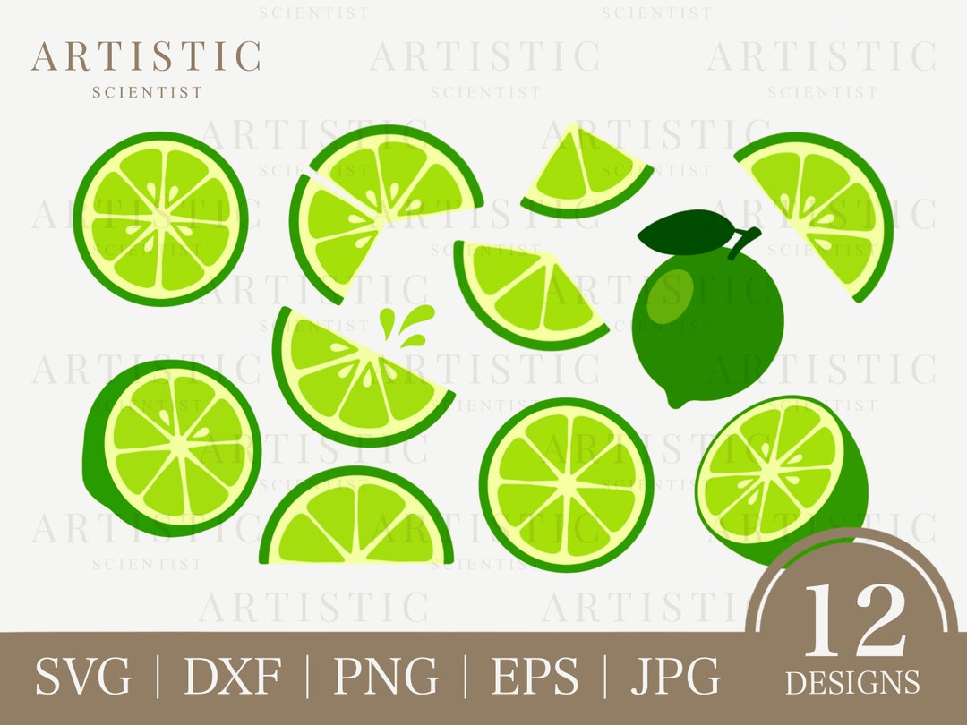 Lime Svg, Lime Png, Lime Slice Svg, Lime Bundle Svg, Tequila Svg ...