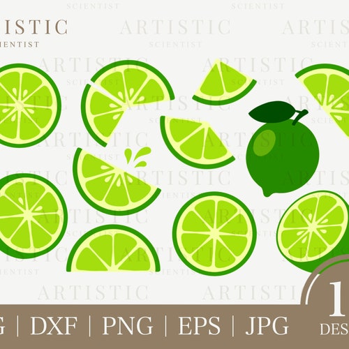 Lime Bundle SVG - Etsy