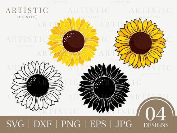Sunflower Svg Sunflower Png Sunflower Svg Bundle Wildflower | Etsy