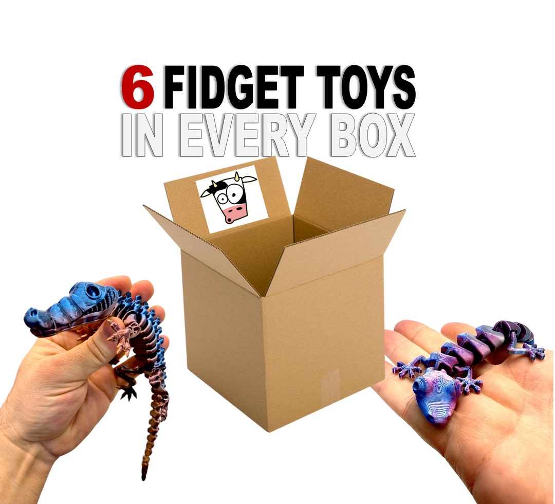 X6 Fidget Toys Box, Contains 6 Mystery 3d Printed Fidget Toys - Etsy