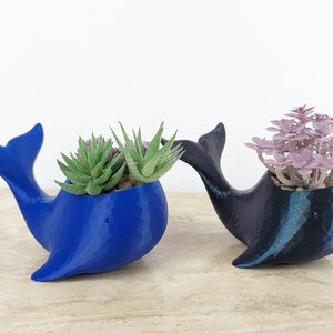 Whale Planter, Succulent Pot, Sea Creature, 3D Printed - Etsy