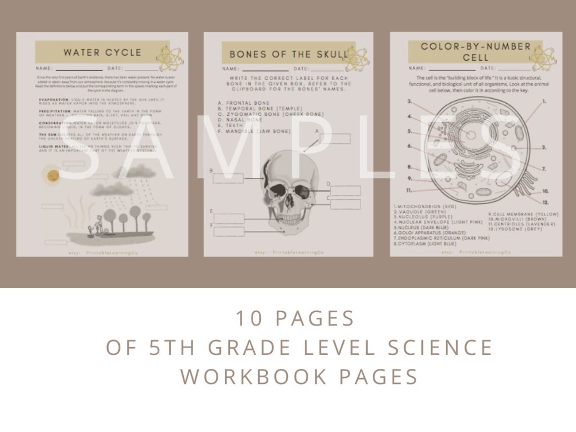 5th Grade Science Workbooks - Etsy