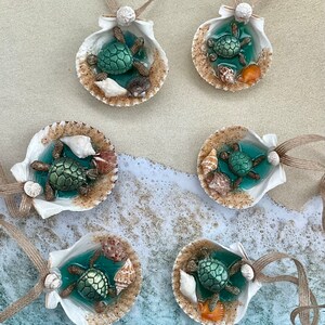 Sea Turtle in a Sea Shell Beach Coastal Ocean Decoration Ornament ...