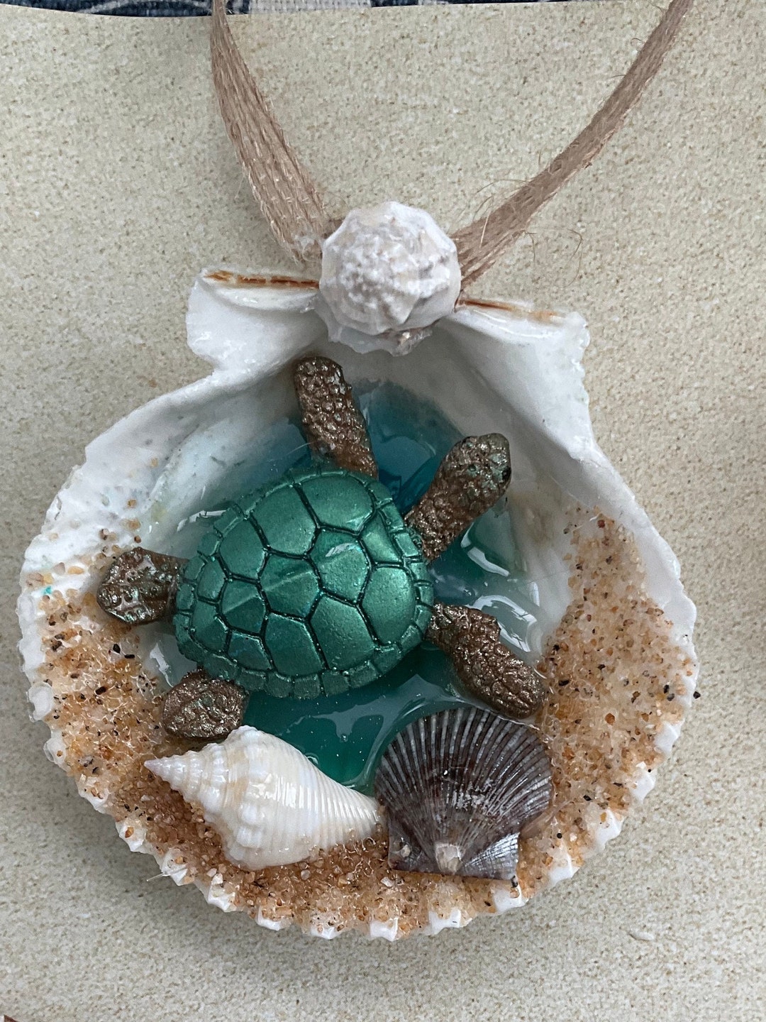 Sea Turtle in a Sea Shell Beach Coastal Ocean Decoration Ornament ...