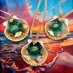 Sea Turtle in a Sea Shell Beach Coastal Ocean Decoration Ornament ...