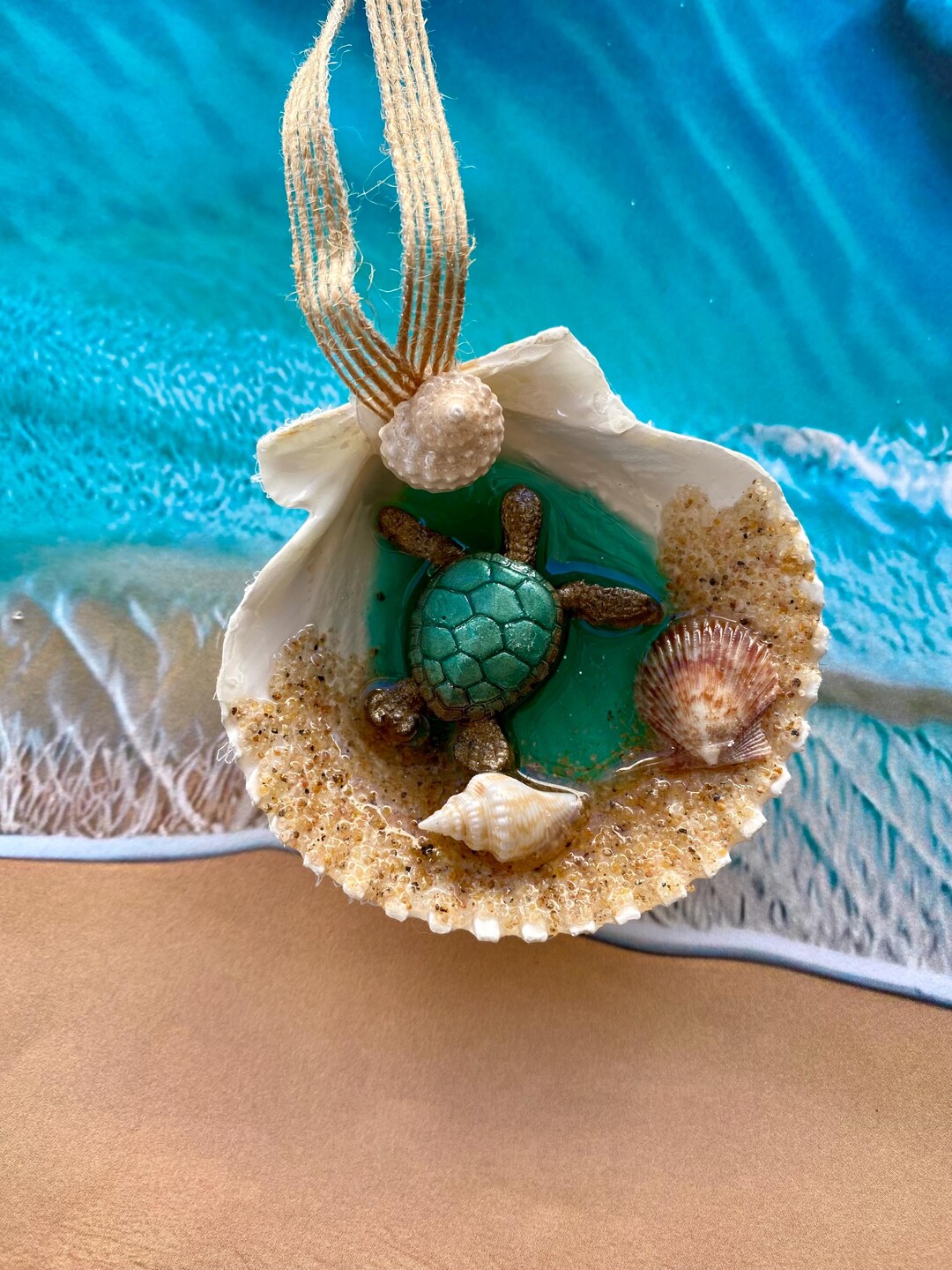 Sea Turtle in a Sea Shell Beach Coastal Ocean Decoration Ornament ...