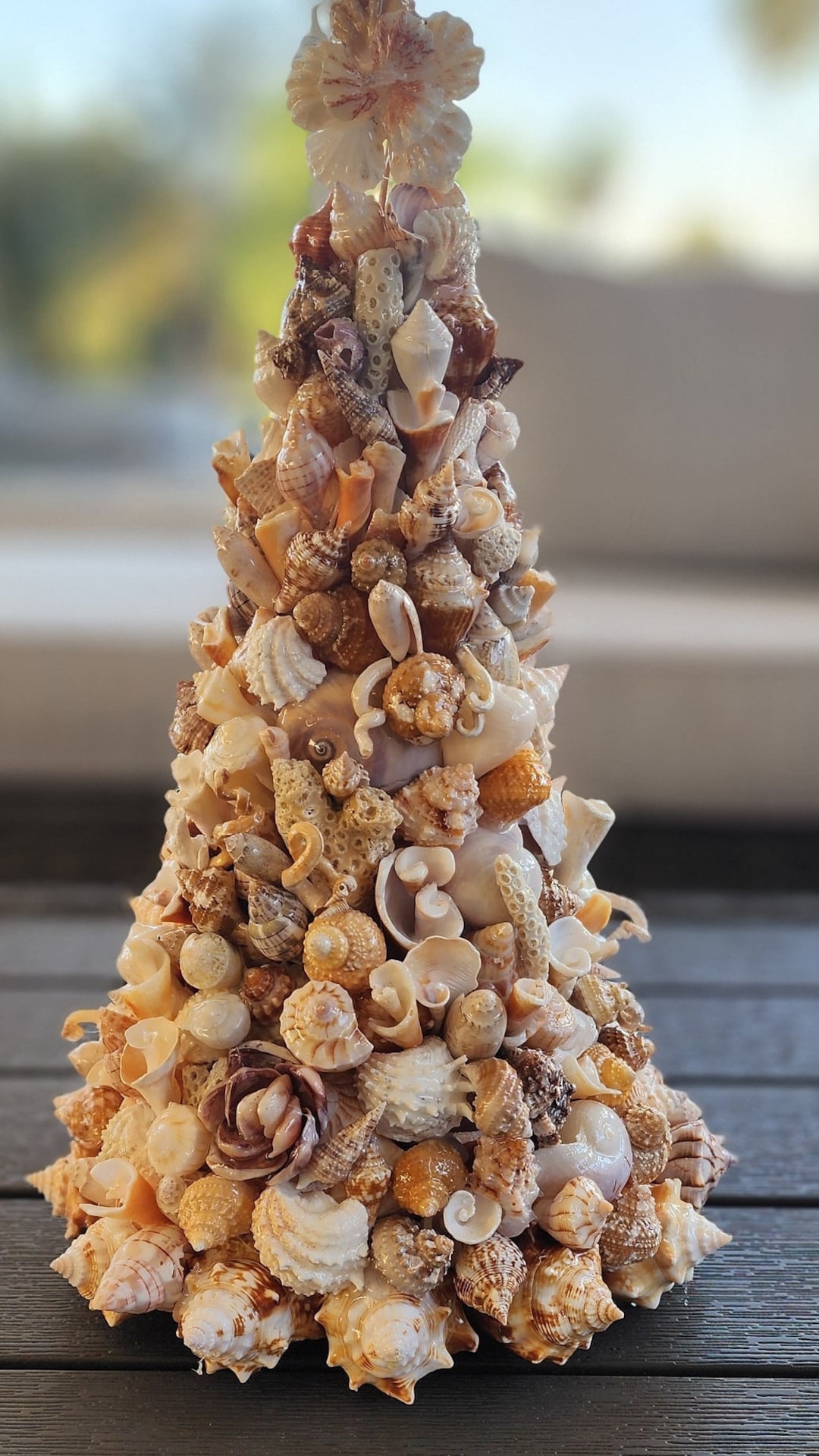 Seashell Tree 13 Seashell Art Tree, Christmas Gift, Shell Art, Ocean ...