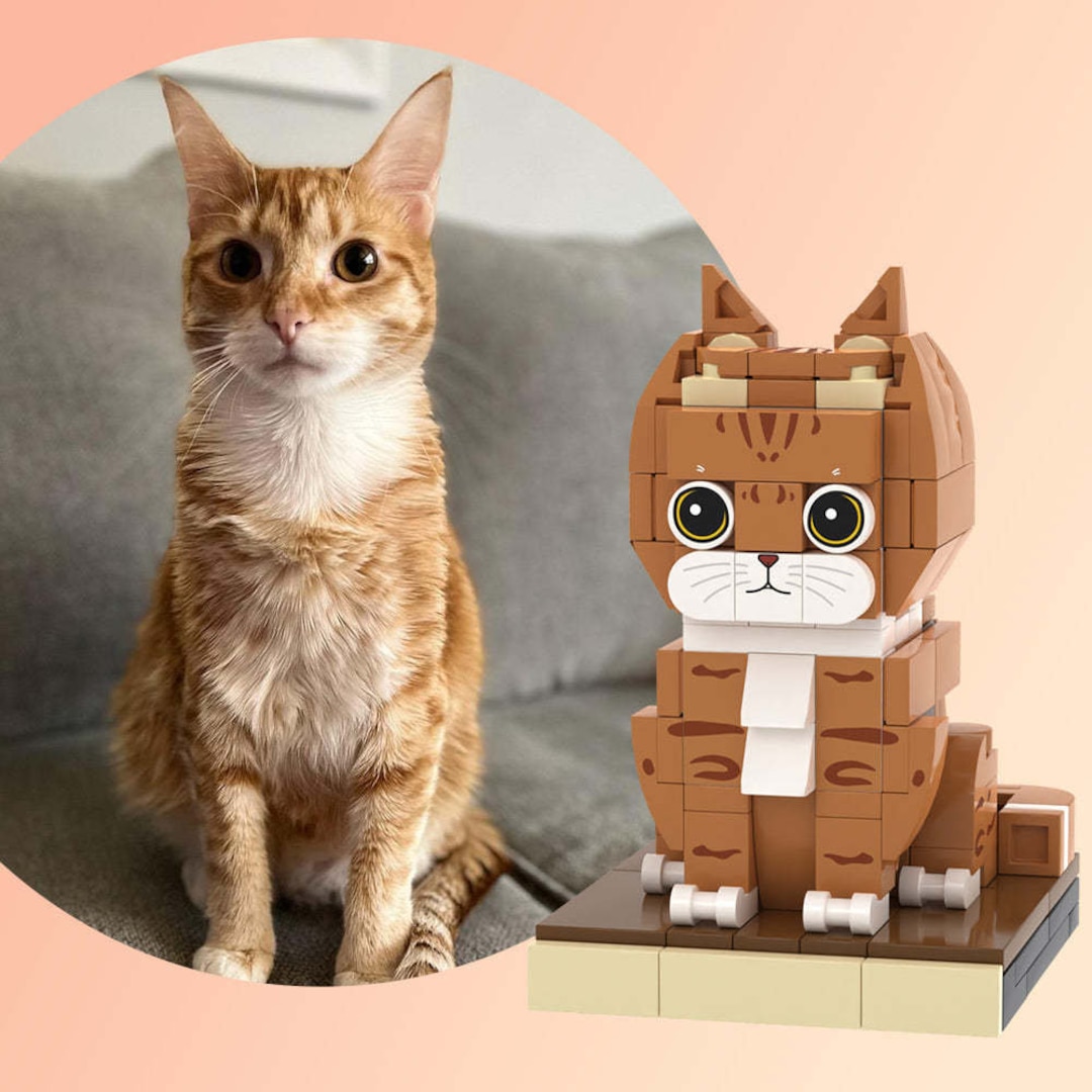 Custom Orange Cat Brick Figures Fully Body Customizable 1 Cat - Etsy