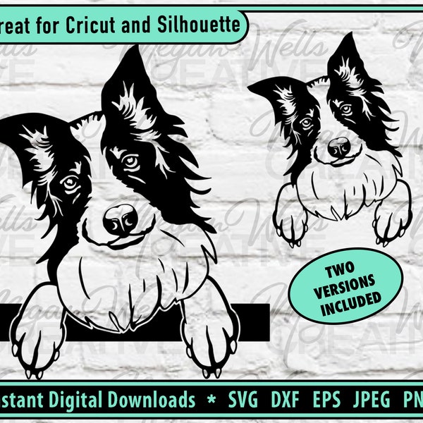 Border Collie Face Svg - Etsy