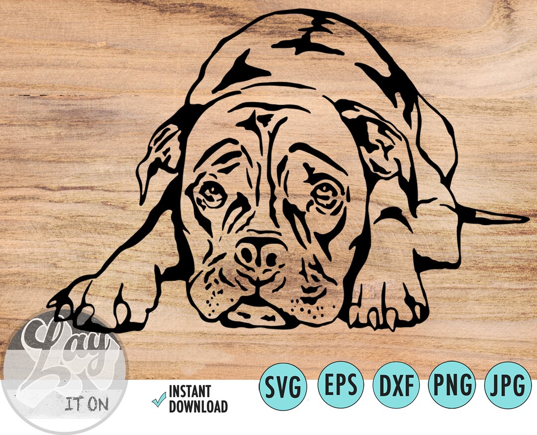 Boxer Breed Vector for Cricut, Boxer Svg File, Boxer Face Svg File ...