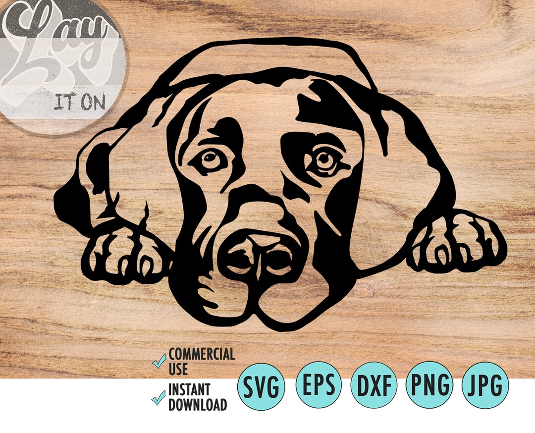 Labrador Svg for Cricut, Lab Svg File, Labrador Face, Lab Owner Png ...