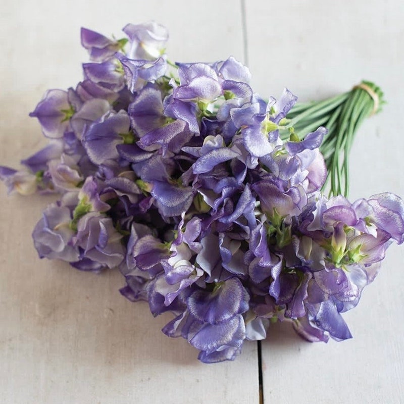 FLOWERHOUSECO - Etsy