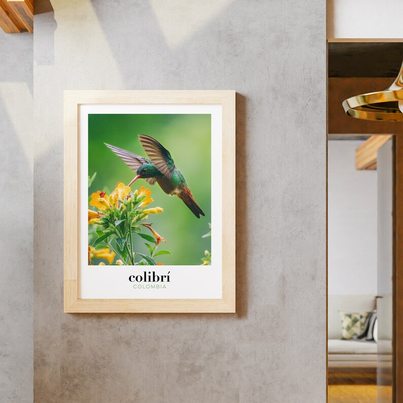 Hummingbird, Colombia, Original Photo, Foto De Colombia, Original ...