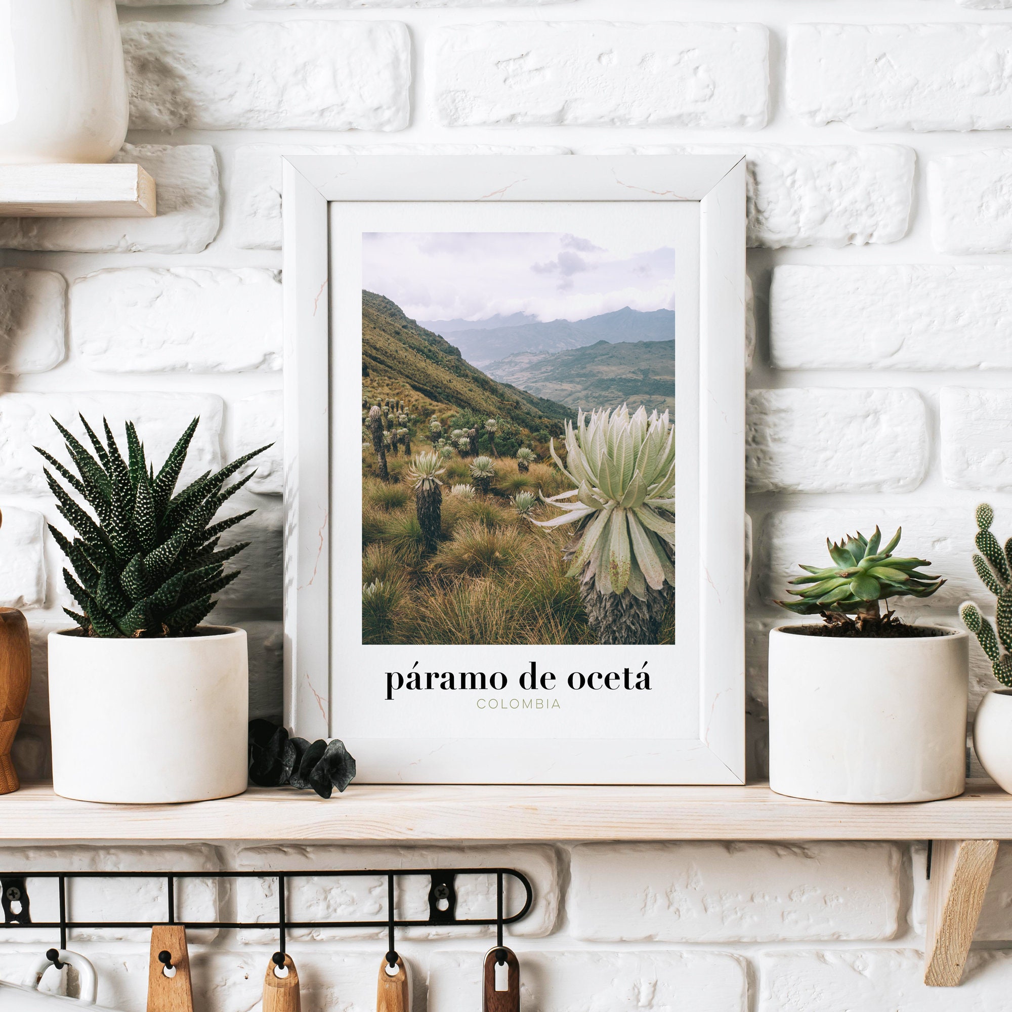 Páramo De Ocetá, Colombia, Original Photo, Foto De Colombia, Original ...