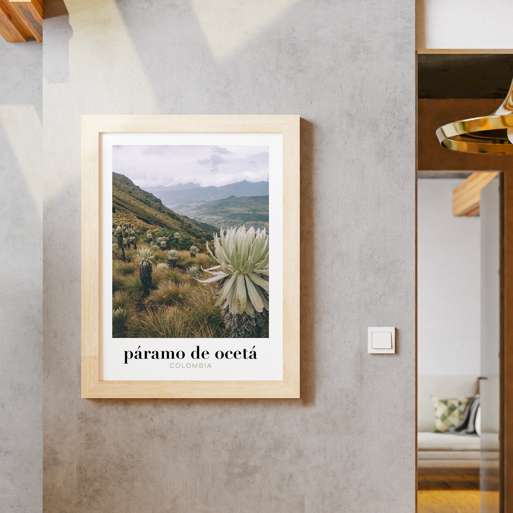 Páramo De Ocetá, Colombia, Original Photo, Foto De Colombia, Original ...