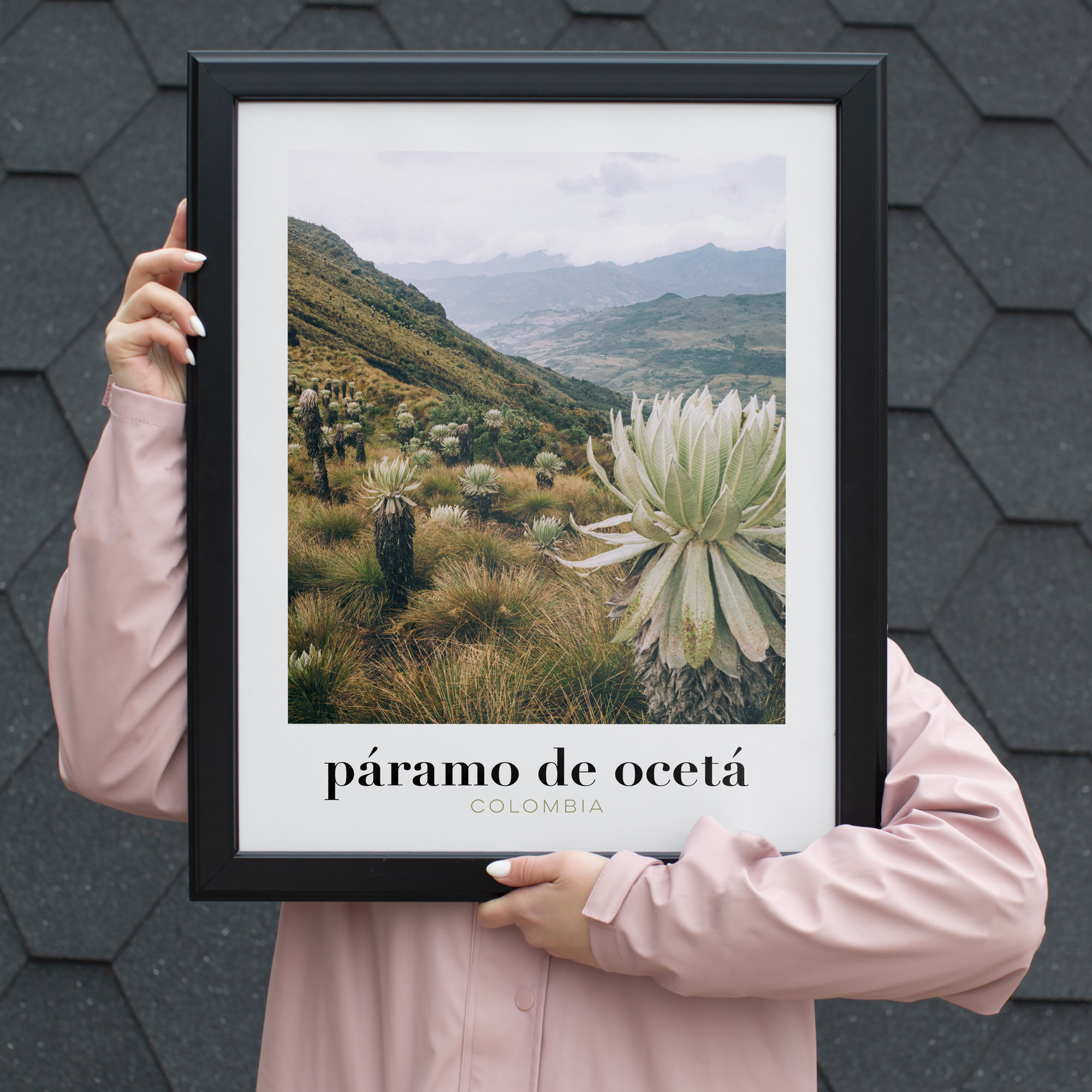 Páramo De Ocetá, Colombia, Original Photo, Foto De Colombia, Original ...