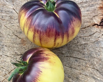 Amethyst Jewel Tomato Seeds Rare Heirloom Tomatoes - Etsy UK