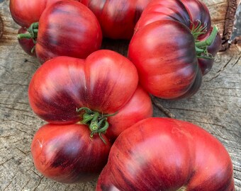 Amethyst Jewel Tomato Seeds Rare Heirloom Tomatoes - Etsy UK