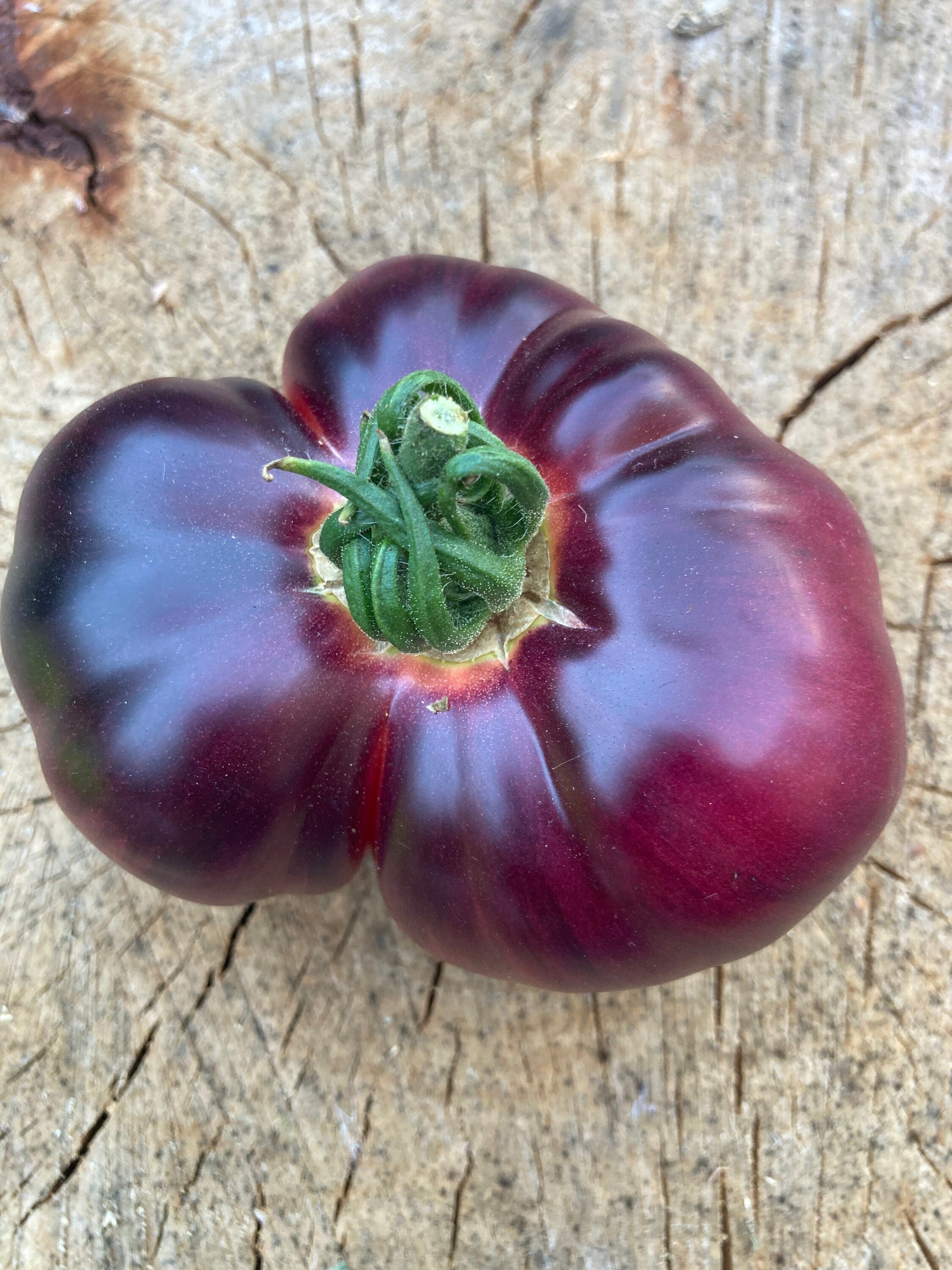 Amethyst Jewel Tomato Seeds Rare Heirloom Tomatoes - Etsy UK