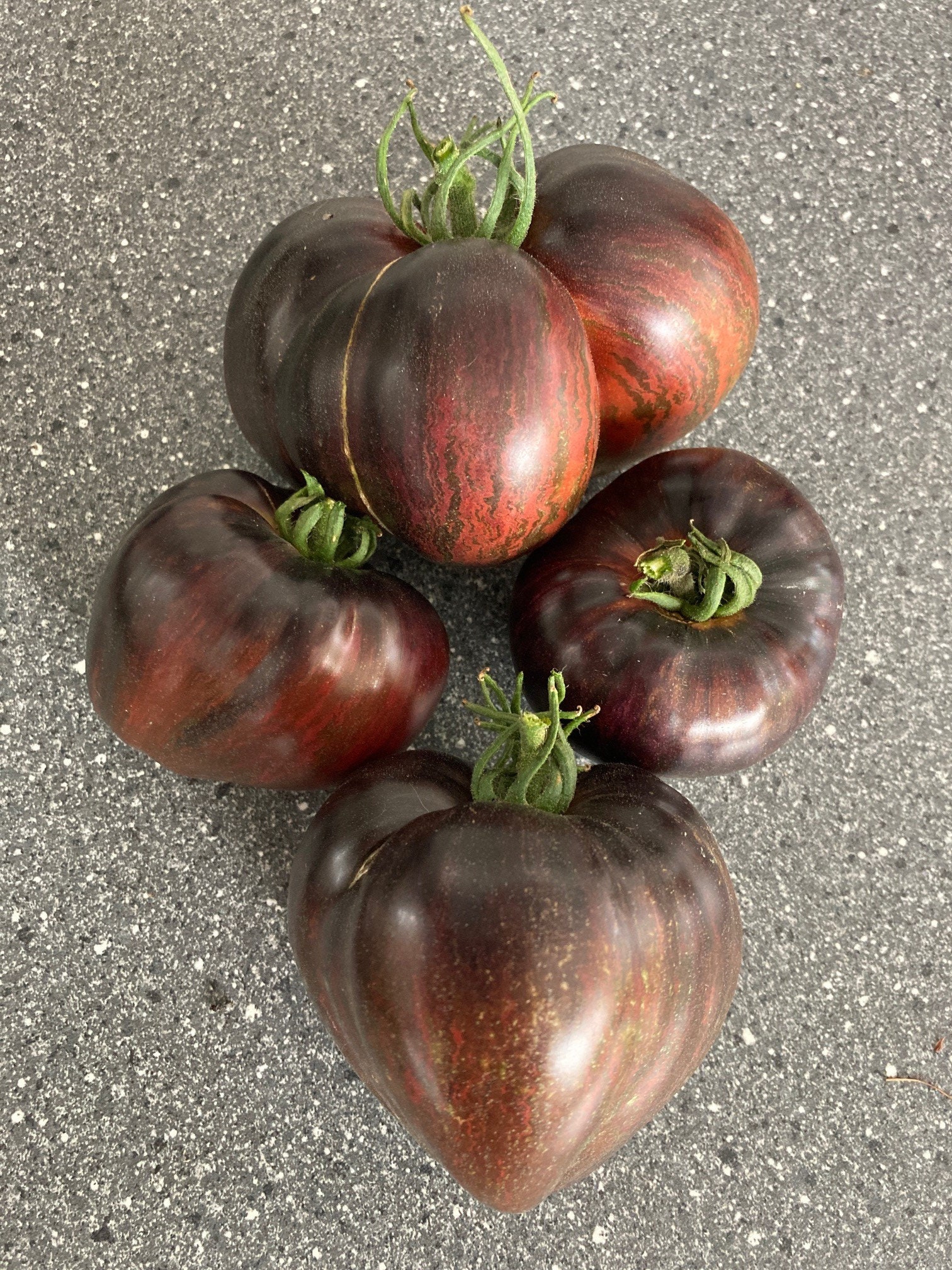 Rebel Starfighter Prime Tomato Seeds - Rare Heirloom Tomatoes - Etsy UK