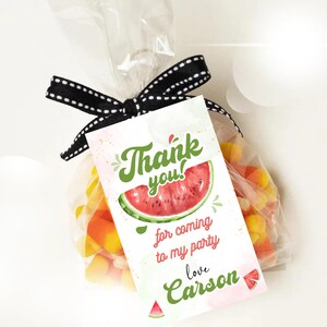 Editable and Printable Watermelon Birthday Invitation, Watermelon ...