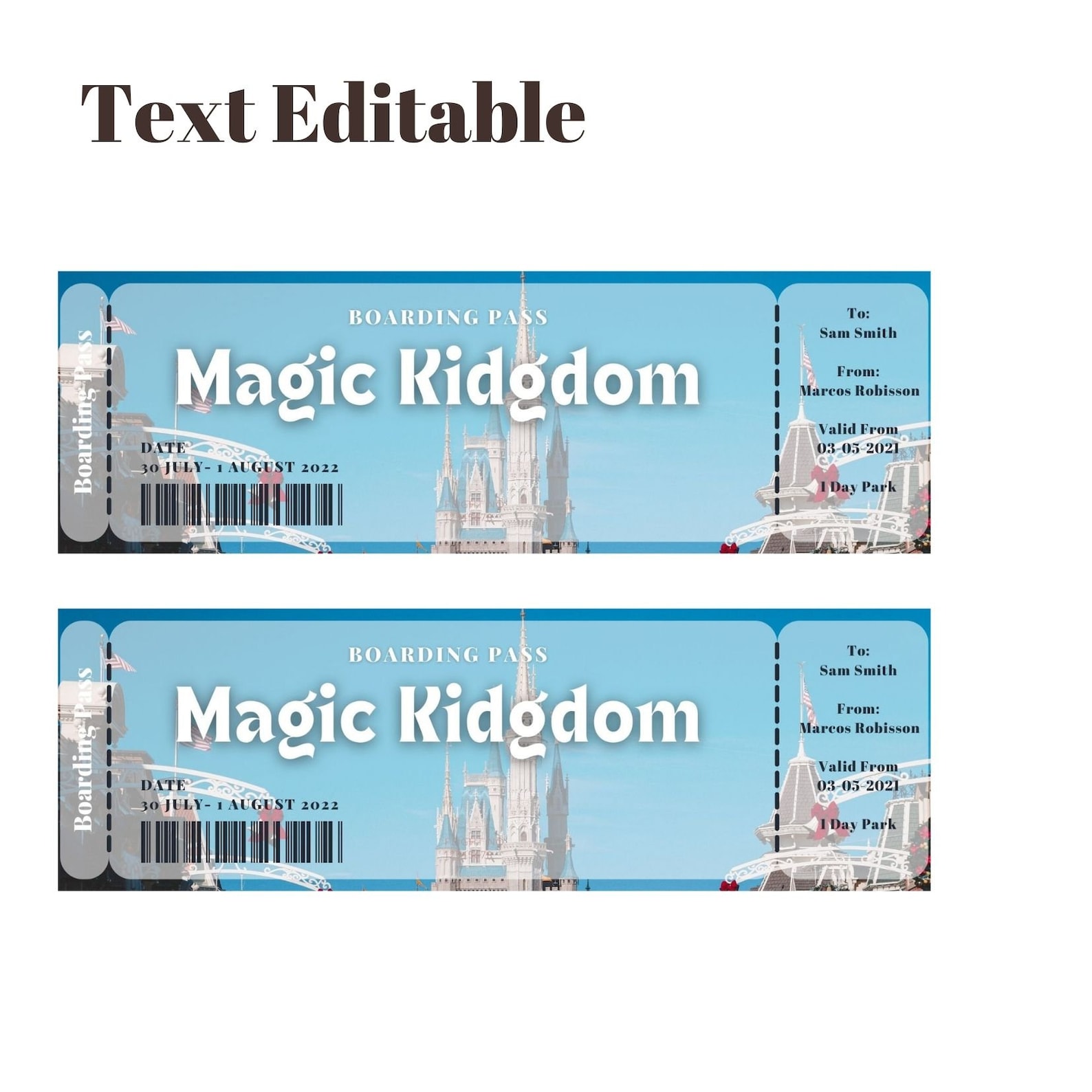 Printable Ticket to Magic Kingdom Editable, Boarding Pass to Park Theme ...