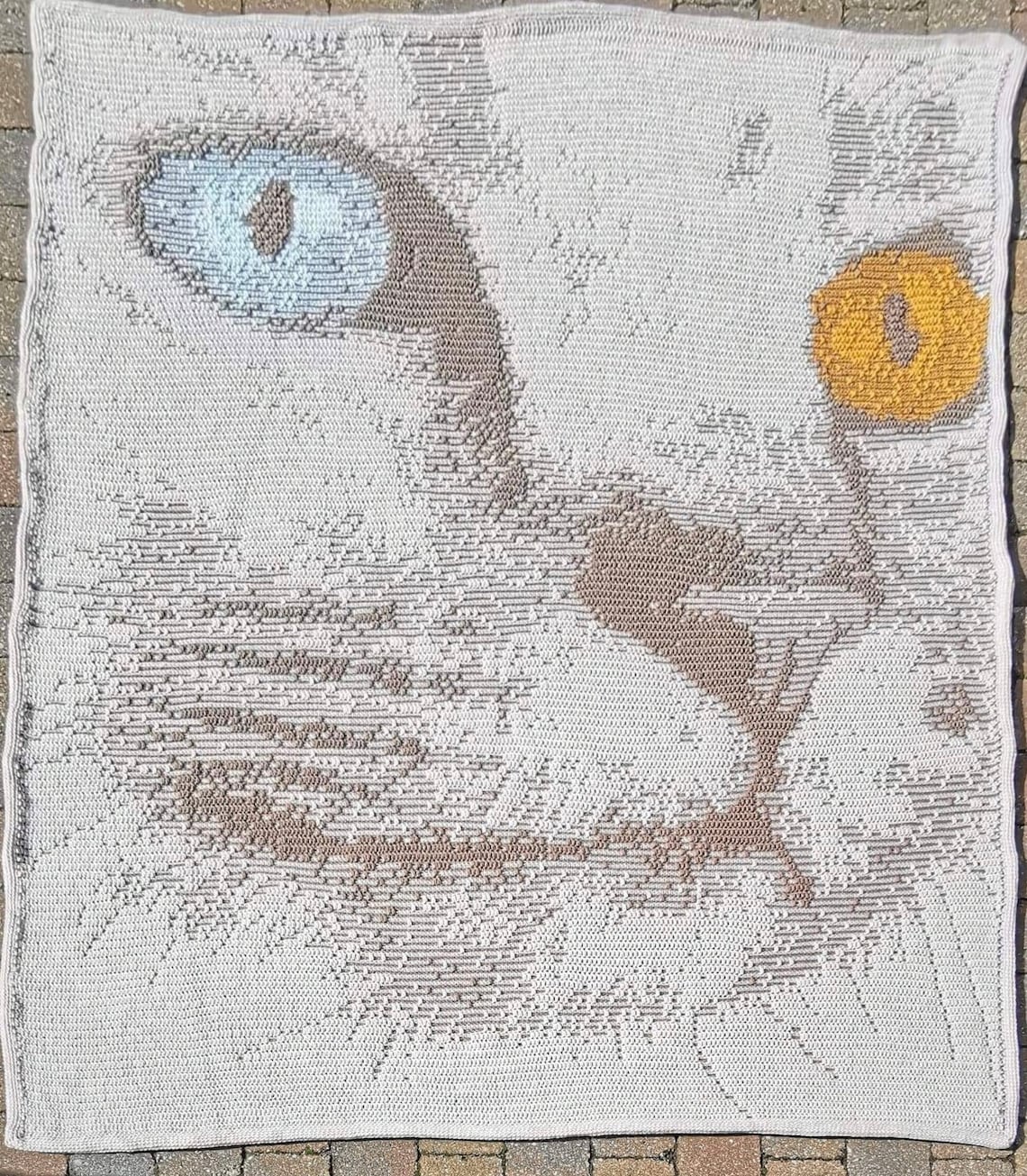 Magnifi-cat Overlay Mosaic Crochet Pattern - Etsy