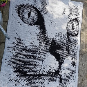 Magnifi-cat Overlay Mosaic Crochet Pattern - Etsy