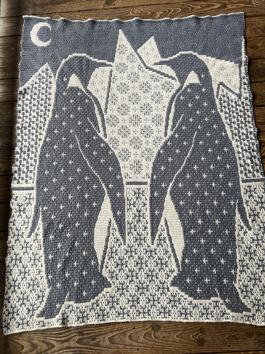 Have an Ice Day - Penguin Overlay Mosaic Crochet Pattern - Etsy