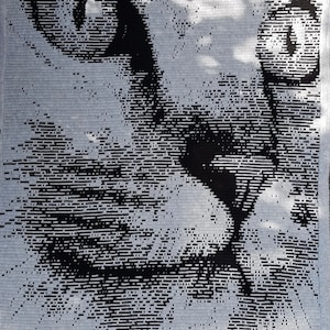 Magnifi-cat Overlay Mosaic Crochet Pattern - Etsy