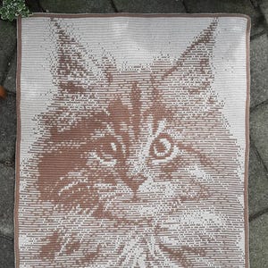 Fluffball - Overlay Mosaic Crochet Pattern - Kitten - Etsy