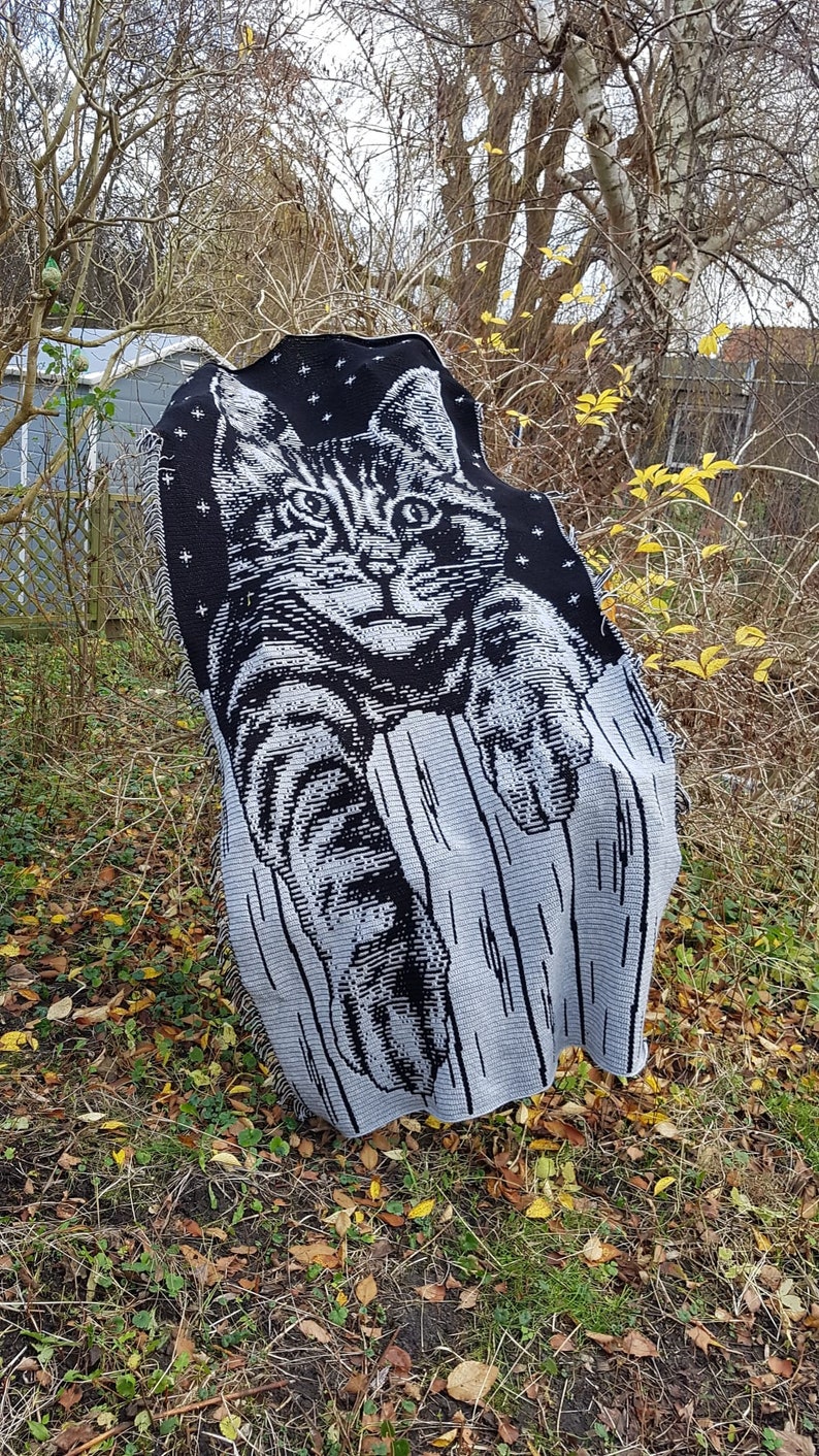 On the Fence Overlay Mosaic Crochet Pattern - Etsy