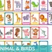 ANIMAL BIRD Flashcards Montessori Materials Toddler Flash - Etsy
