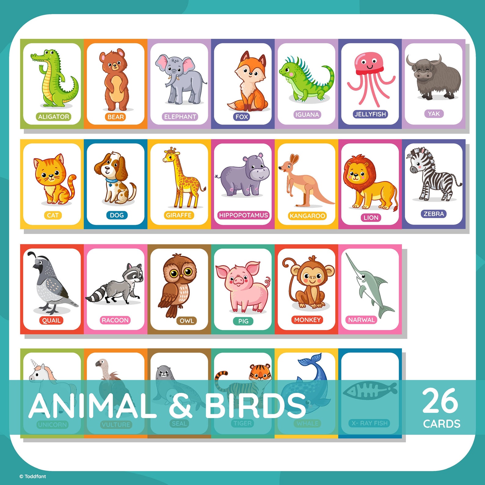 ANIMAL BIRD Flashcards Montessori Materials, Toddler Flash Cards ...