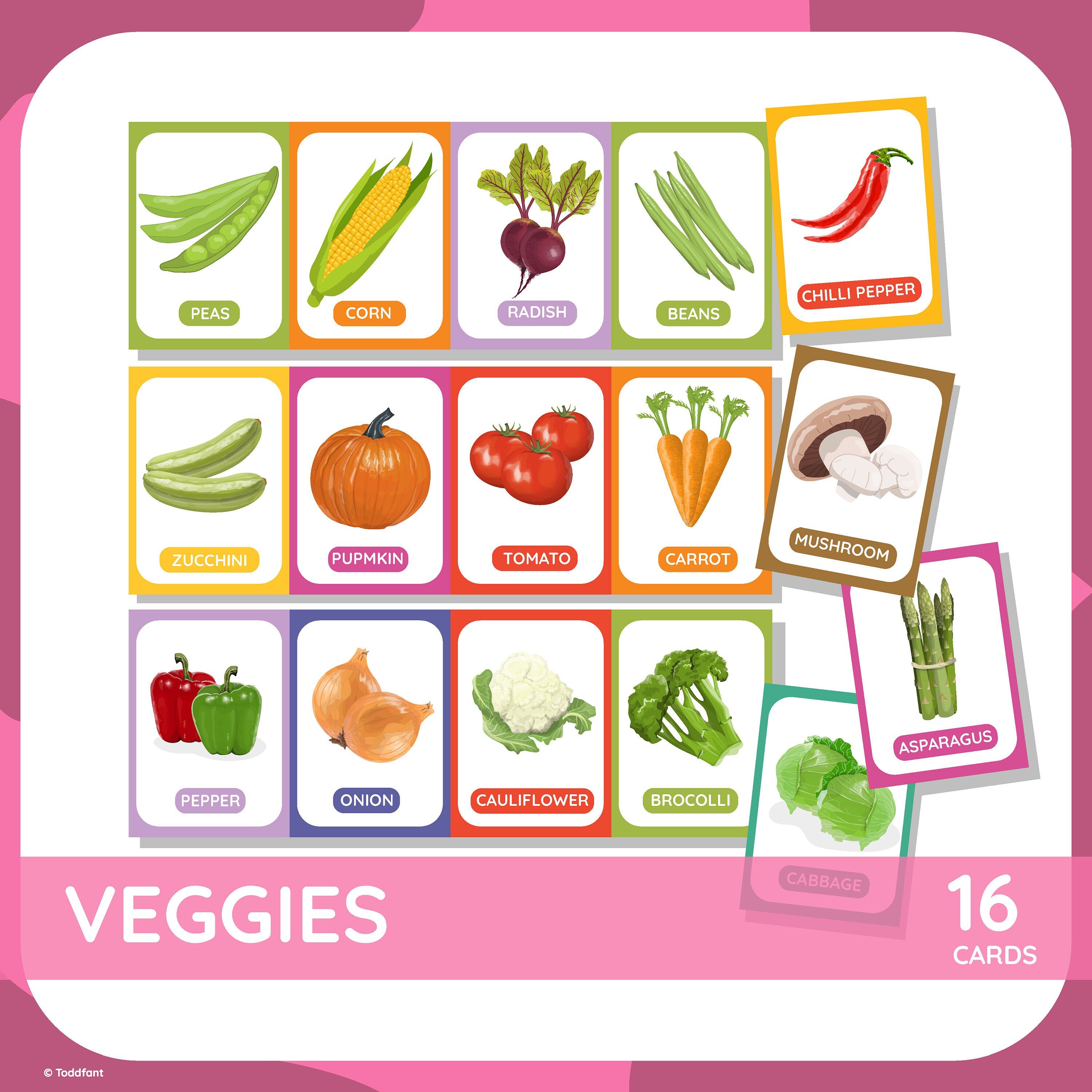 VEGETABLE Flashcards Montessori Materials Toddler Flash - Etsy
