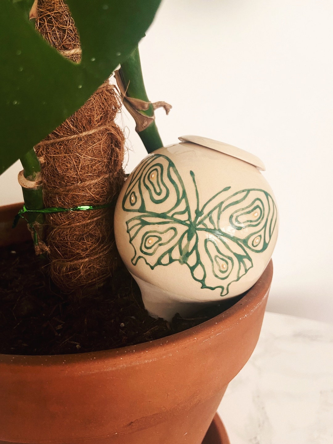 Ceramic Oya / Terracotta Olla / Water Tank for Plants - Etsy UK