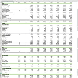Financial Statement Analysis Excel Template - Analyse a Stock Market ...