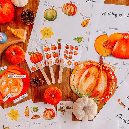 Winter Unit Study - Etsy