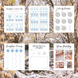 Winter Unit Study - Etsy