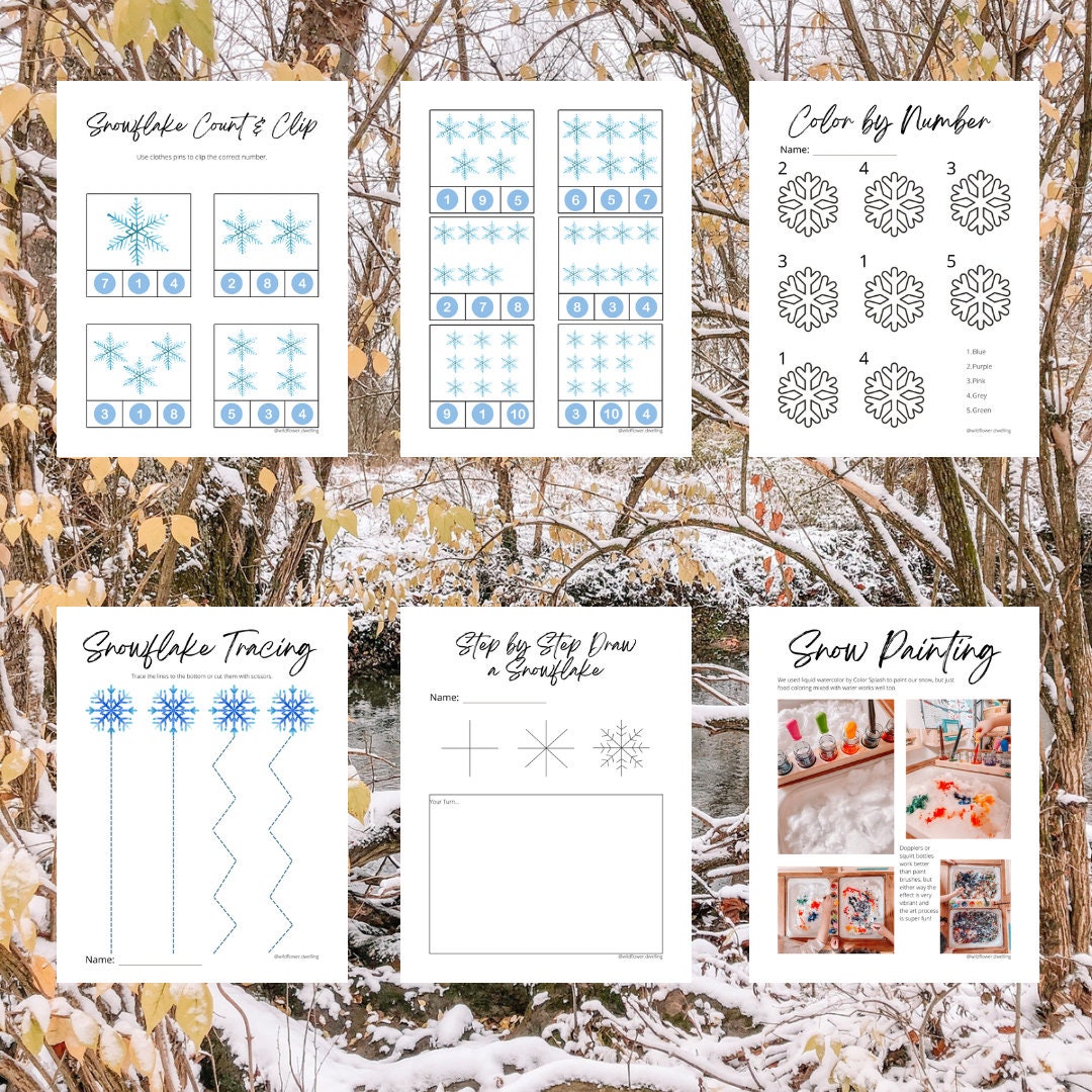 Winter Unit Study | Etsy