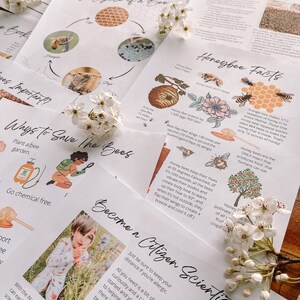 Spring Unit Study - Etsy