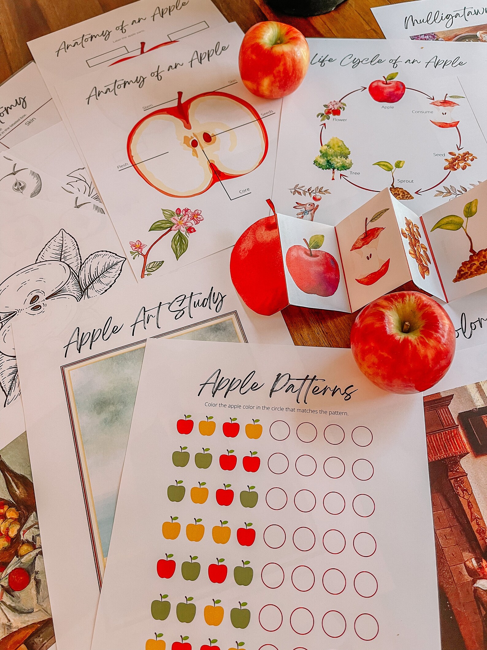 Autumn Unit Study - Etsy